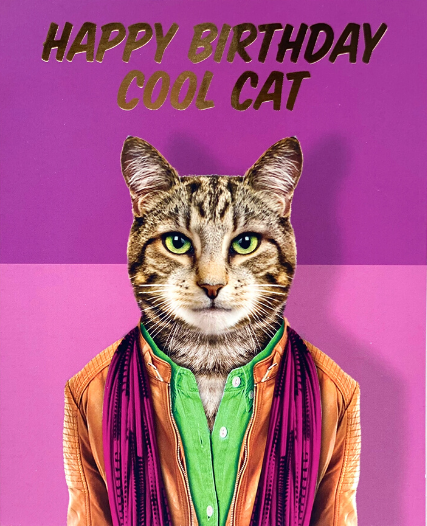 Cool Cat Greeting Card - Animalyser